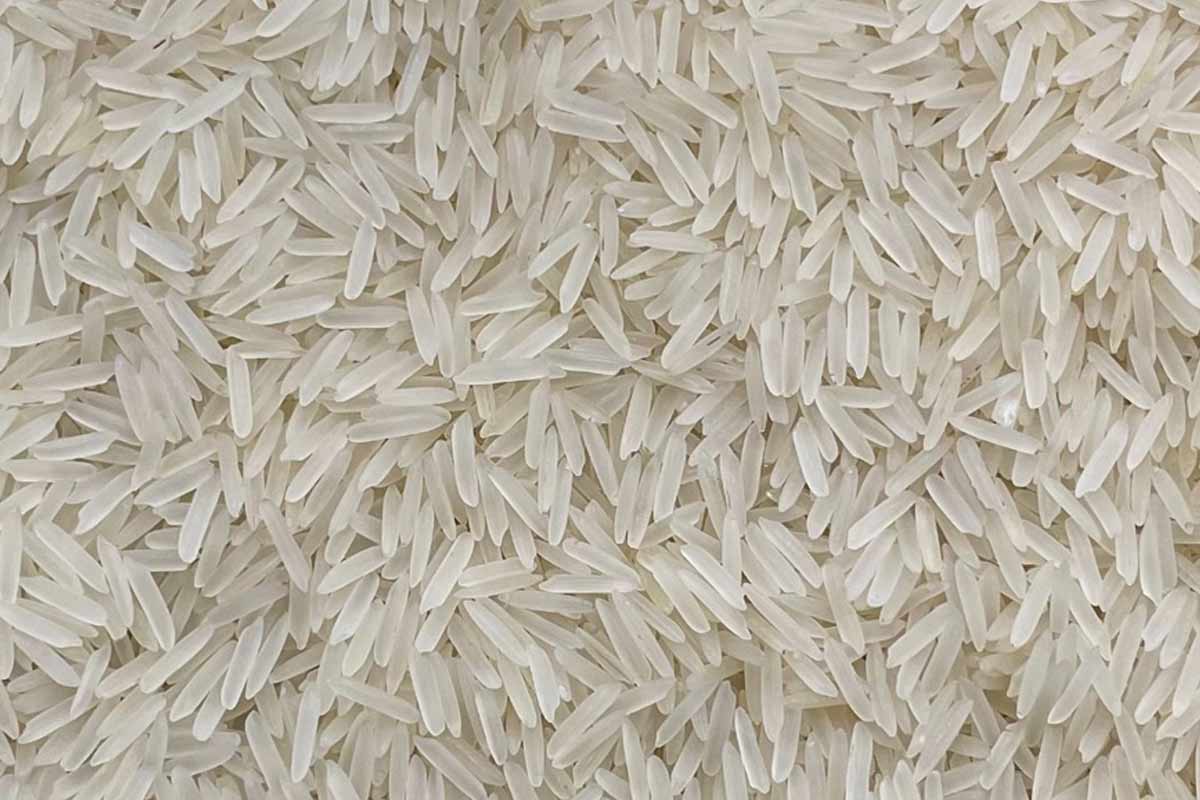 Basmati Rice